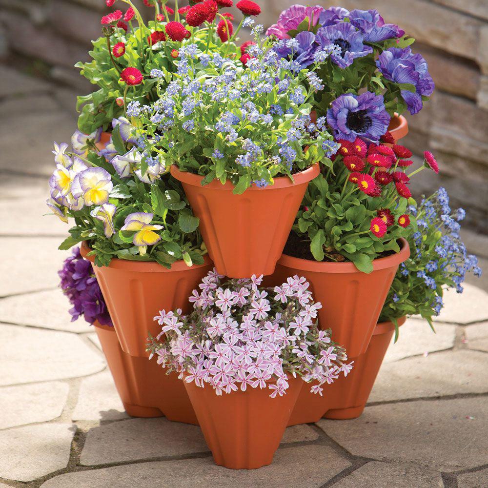 Strawberry Herb Flower Pot 1